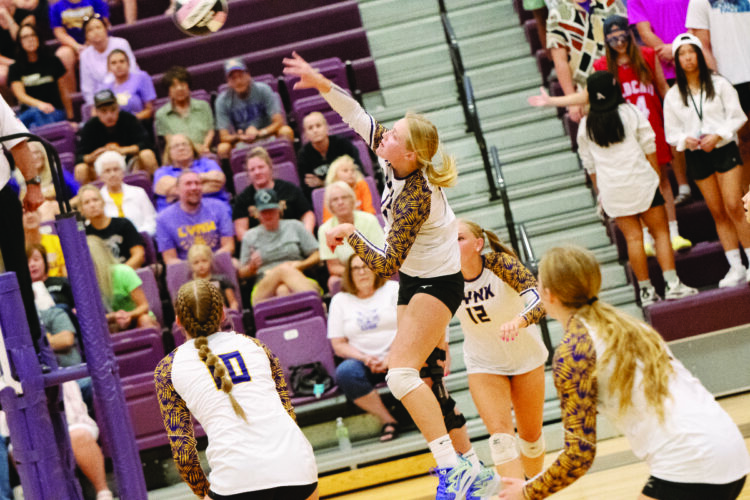 Lynx post thrilling win over Humboldt | News, Sports, Jobs - The ...